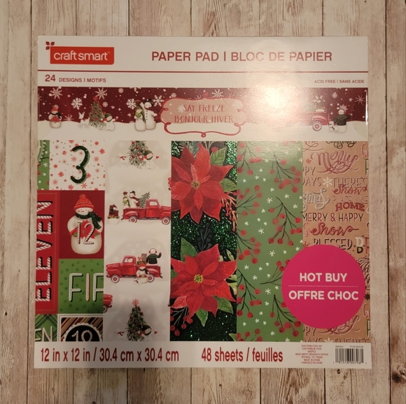 Craft Smart | Other | Craft Smart Say Freeze Cardstock Paper Pad 2x 12 ...